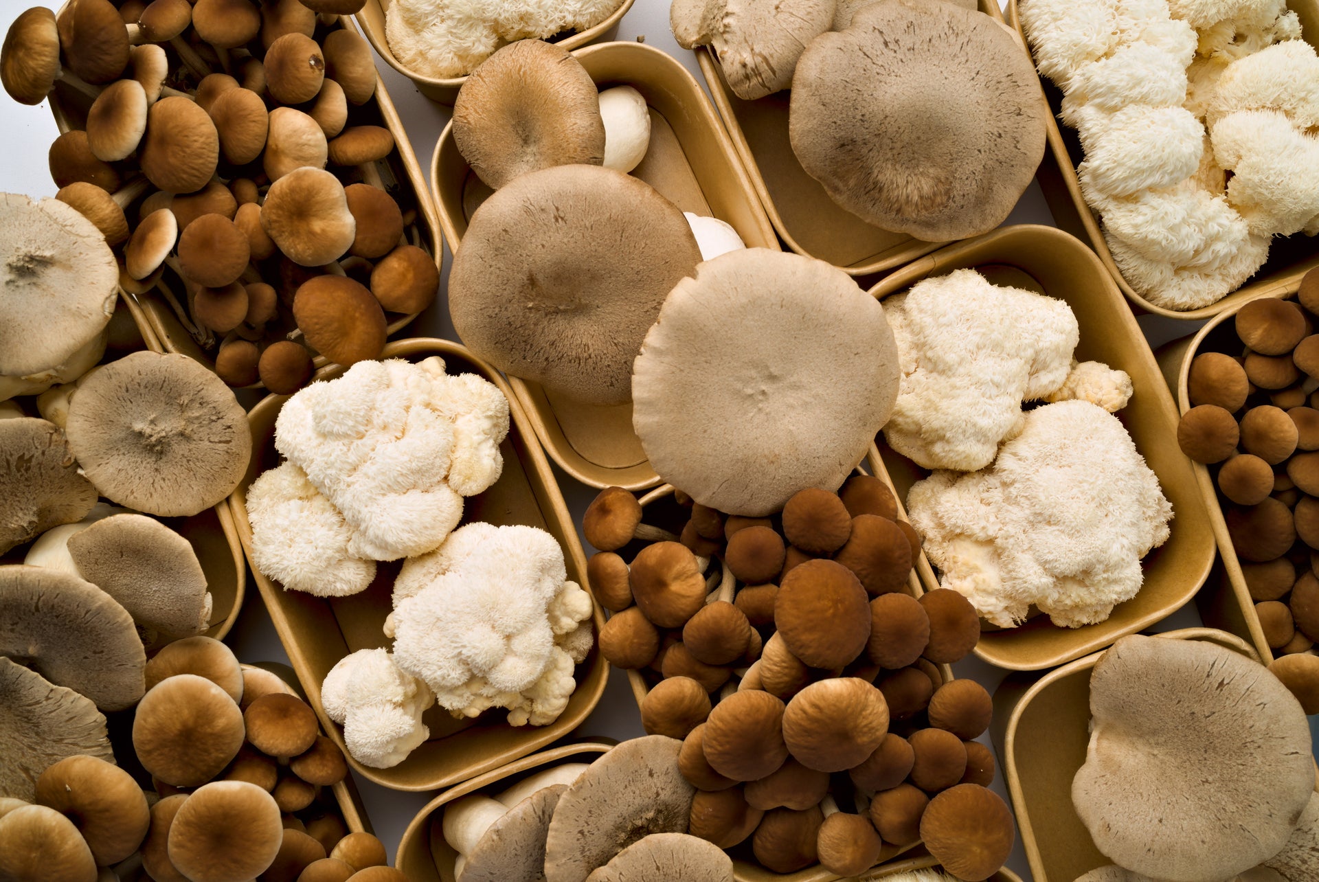 Locate Us – Spore Gardens