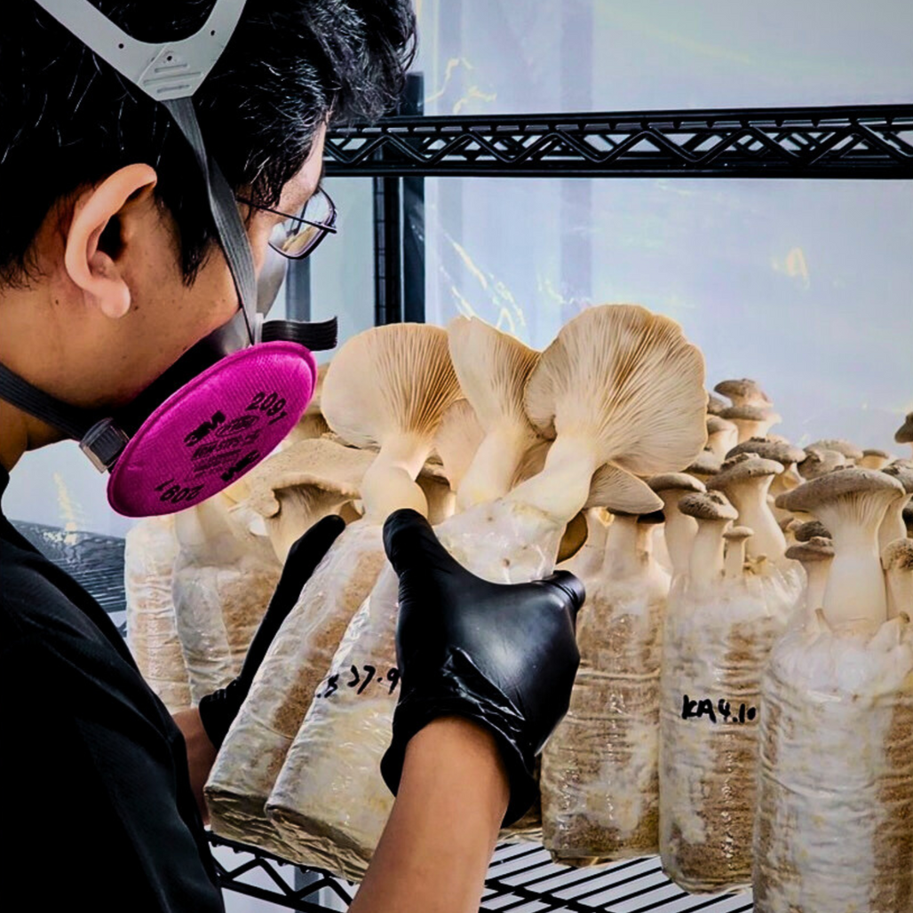 About Us – Spore Gardens